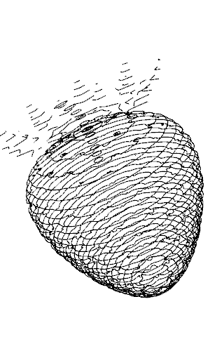 3D Shapes and Trimesh — py5 documentation